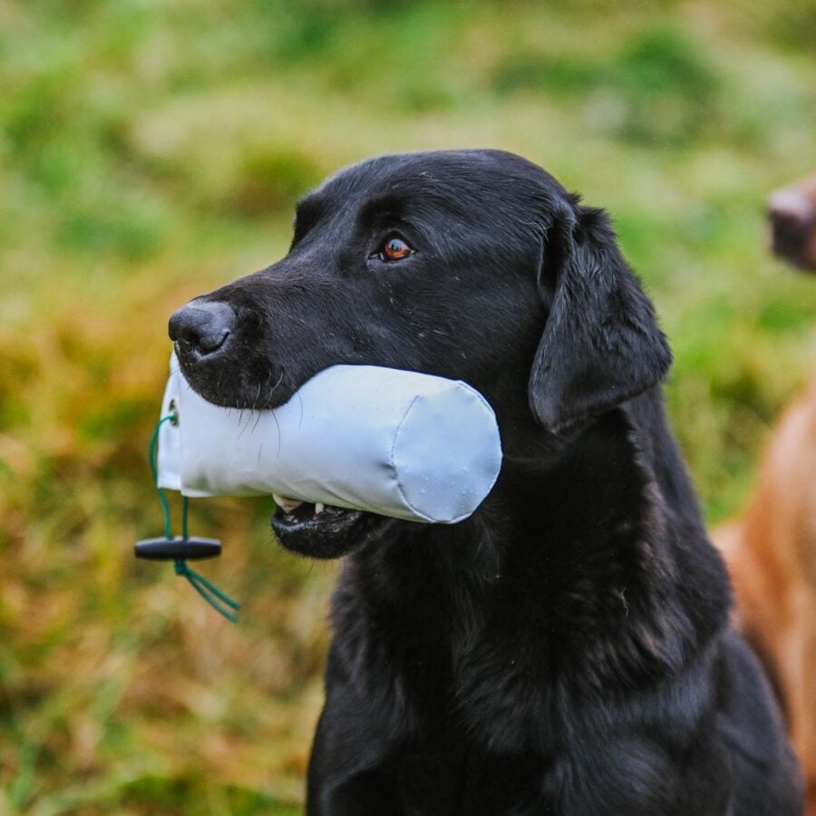 Dummy Launchers, Launcher Dummies & Blanks | Gundog Training Equipment ...